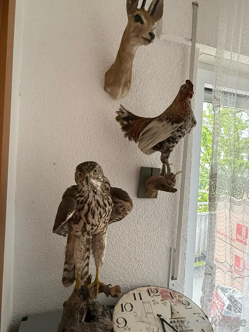 Deko Tiere Lebensgro Gebraucht