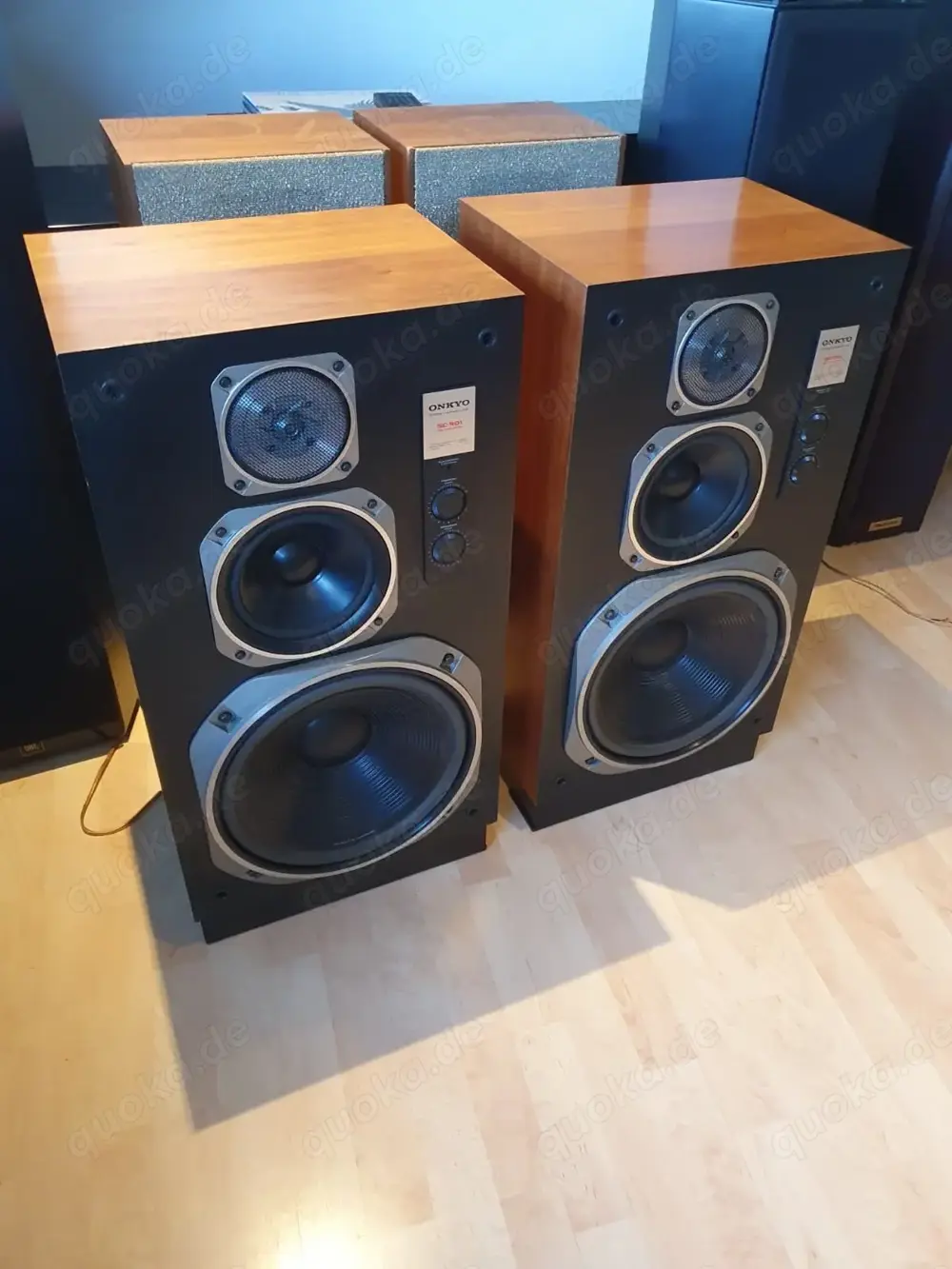 Onkyo SC901 Standlautsprecher in Allmosen - Boxen, Lautsprecher ...