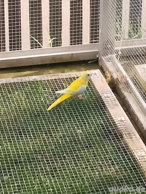 System.Collections.Generic.List`1[System.String] - System.Collections.Generic.List`1[System ...