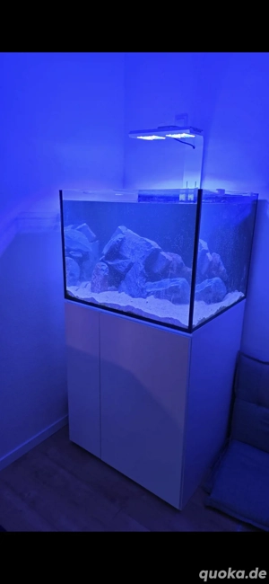 Armatus 300XD Komplettset Aquarium Deltec 600i, Red Dragon X40, Reef ...